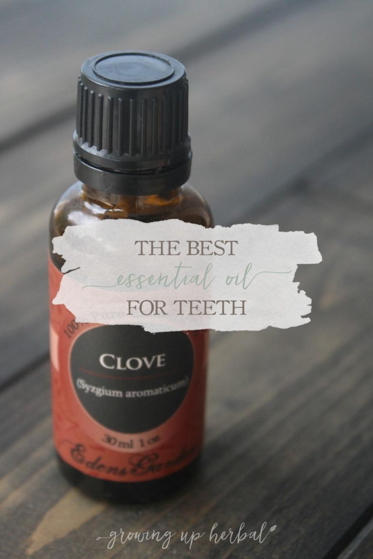 The Best Essential Oil For Teeth - Growing Up Herbal