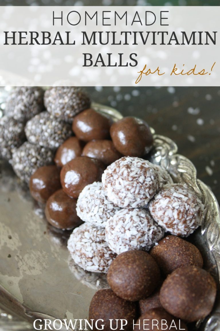 Make Your Own Herbal Children’s Multi-Vitamin Formula