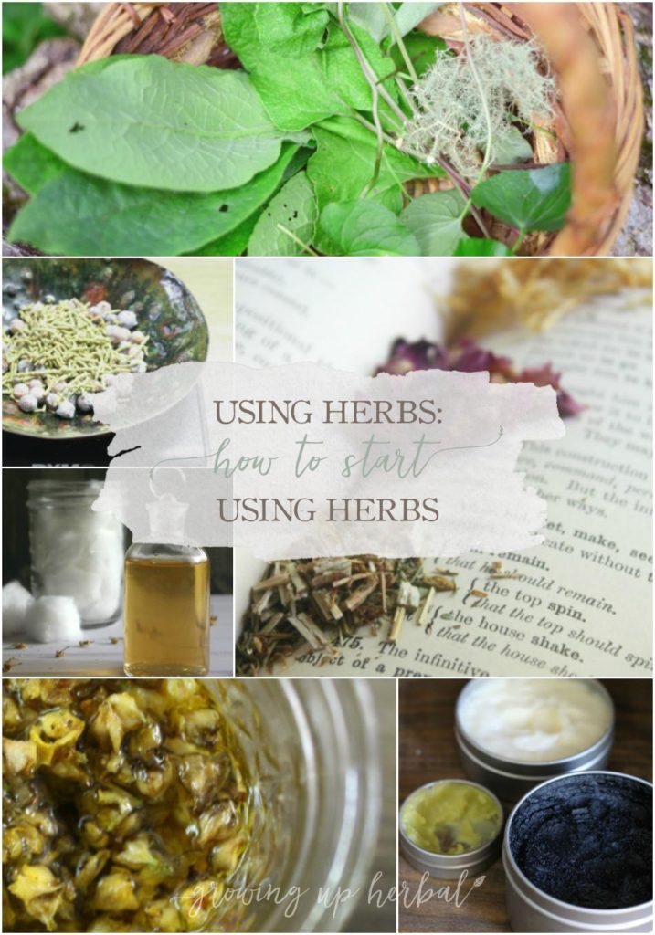 How To Start Using Herbs | Growing Up Herbal