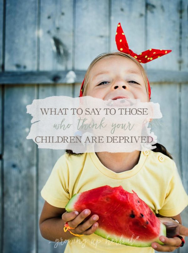 What to Say to Those Who Think Your Children Are Deprived