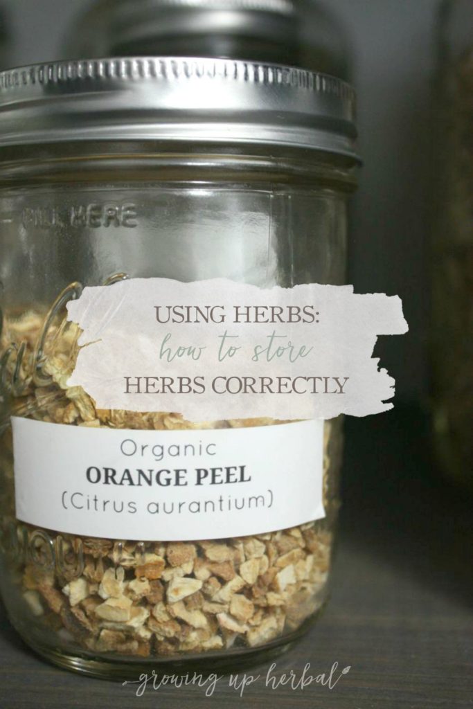 Using Herbs: How To Store Herbs | Growing Up Herbal Using Herbs: How To Store Herbs | Growing Up Herbal