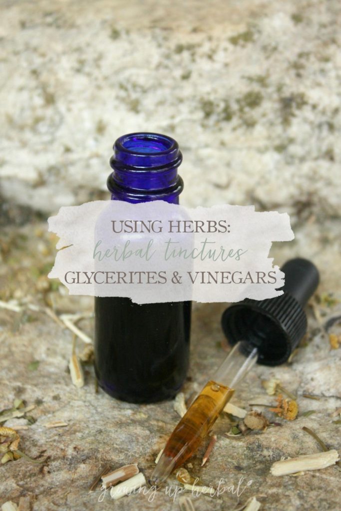 Using Herbs: Herbal Tinctures, Glycerites, And Vinegars