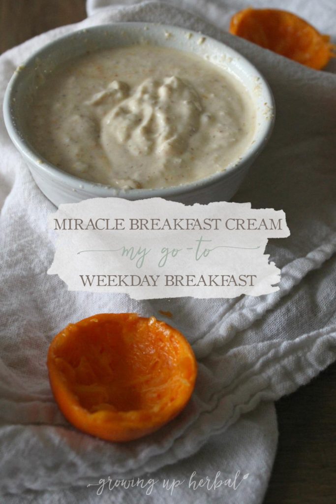 Miracle Breakfast Cream: My Go-To Weekday Breakfast - Growing Up Herbal