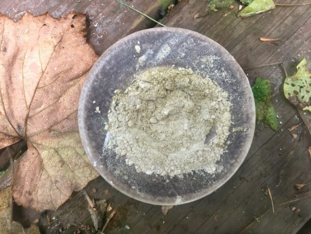 DIY Herbal Bug Repellent Powder For Camping