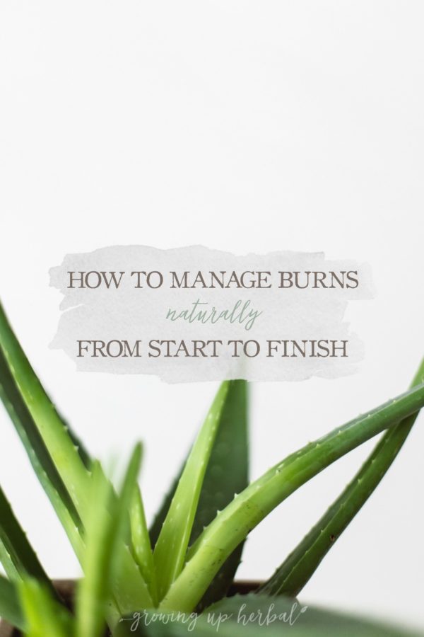 How To Manage Burns Naturally From Start To Finish - Growing Up Herbal
