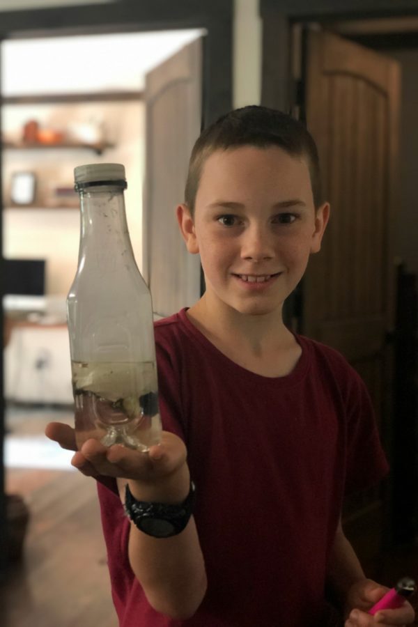 Homeschool Science Experiments - Growing Up Herbal