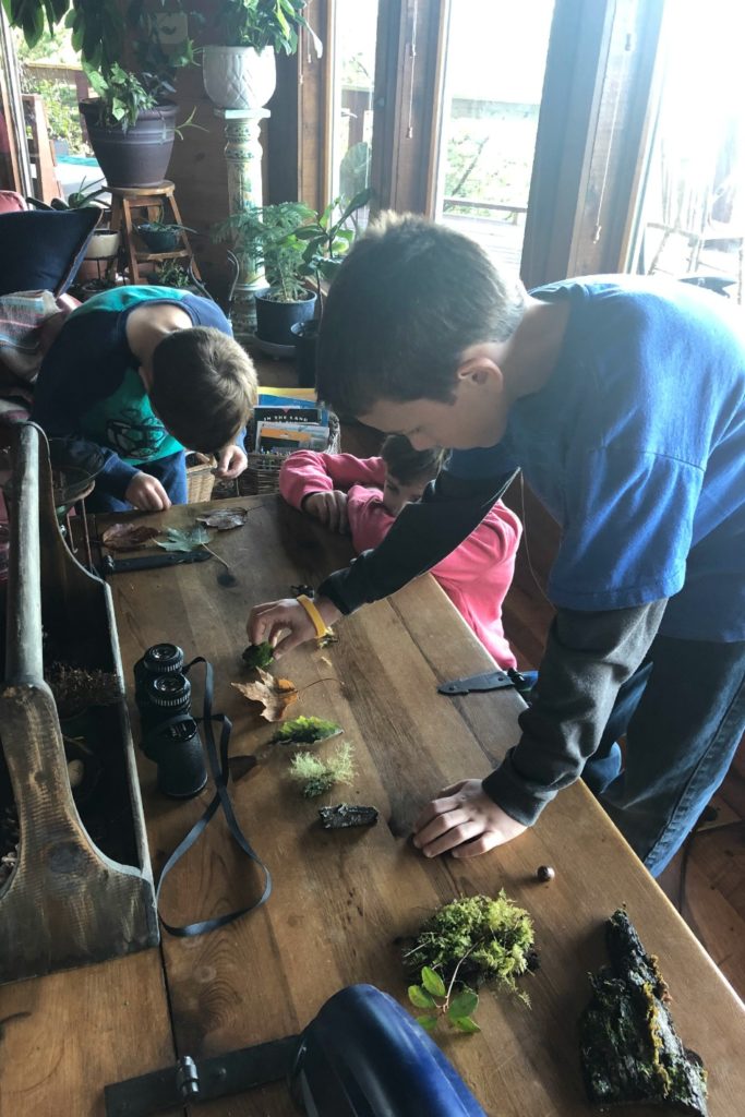 Creating A Seasonal Nature Table - Growing Up Herbal