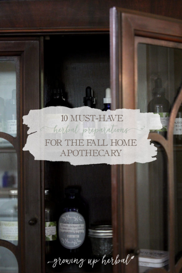 10 Must-Have Herbal Preparations for the Fall Apothecary