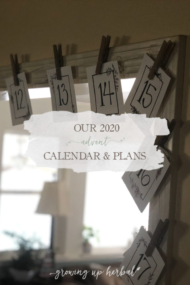 Our 2020 Advent Calendar & Plans - Growing Up Herbal