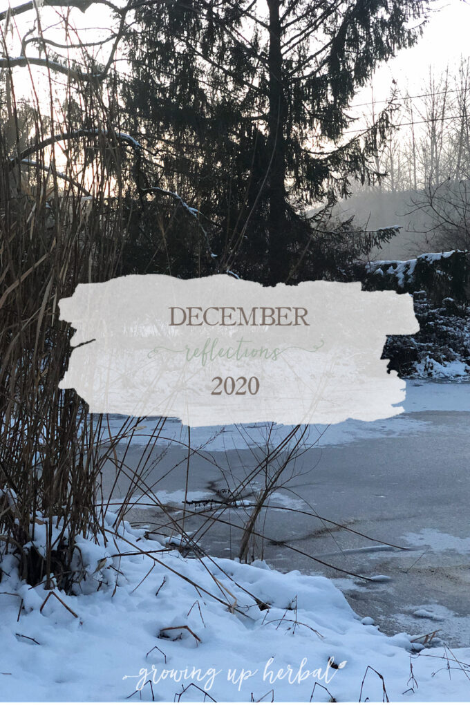 December Reflections 2020 | Growing Up Herbal