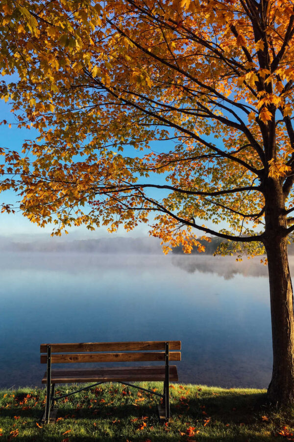 5 Inspiring Autumn Equinox Celebration Ideas and Rituals