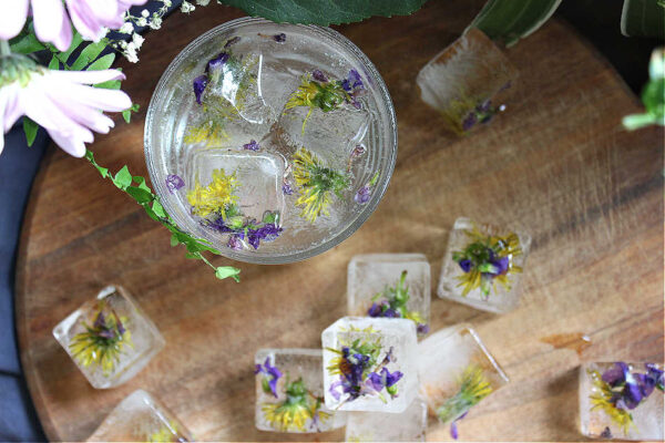 DIY Flower Ice Cubes - Growing Up Herbal