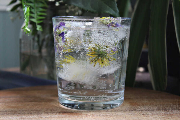 DIY Flower Ice Cubes - Growing Up Herbal
