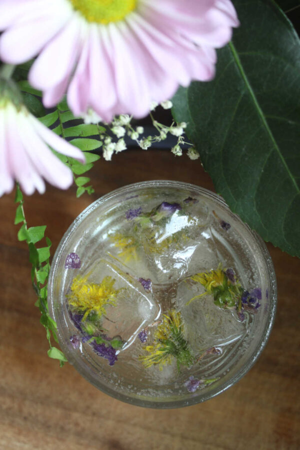 DIY Flower Ice Cubes - Growing Up Herbal