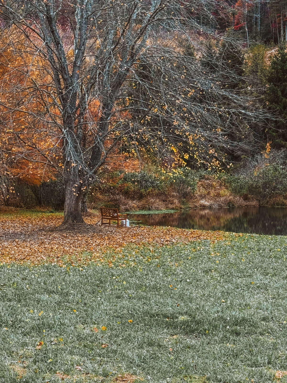 Spend a Seasonal-Inspired Autumn Day With Me - Growing Up Herbal